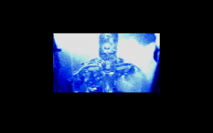 Download Terminator 2: Judgment Day - My Abandonware